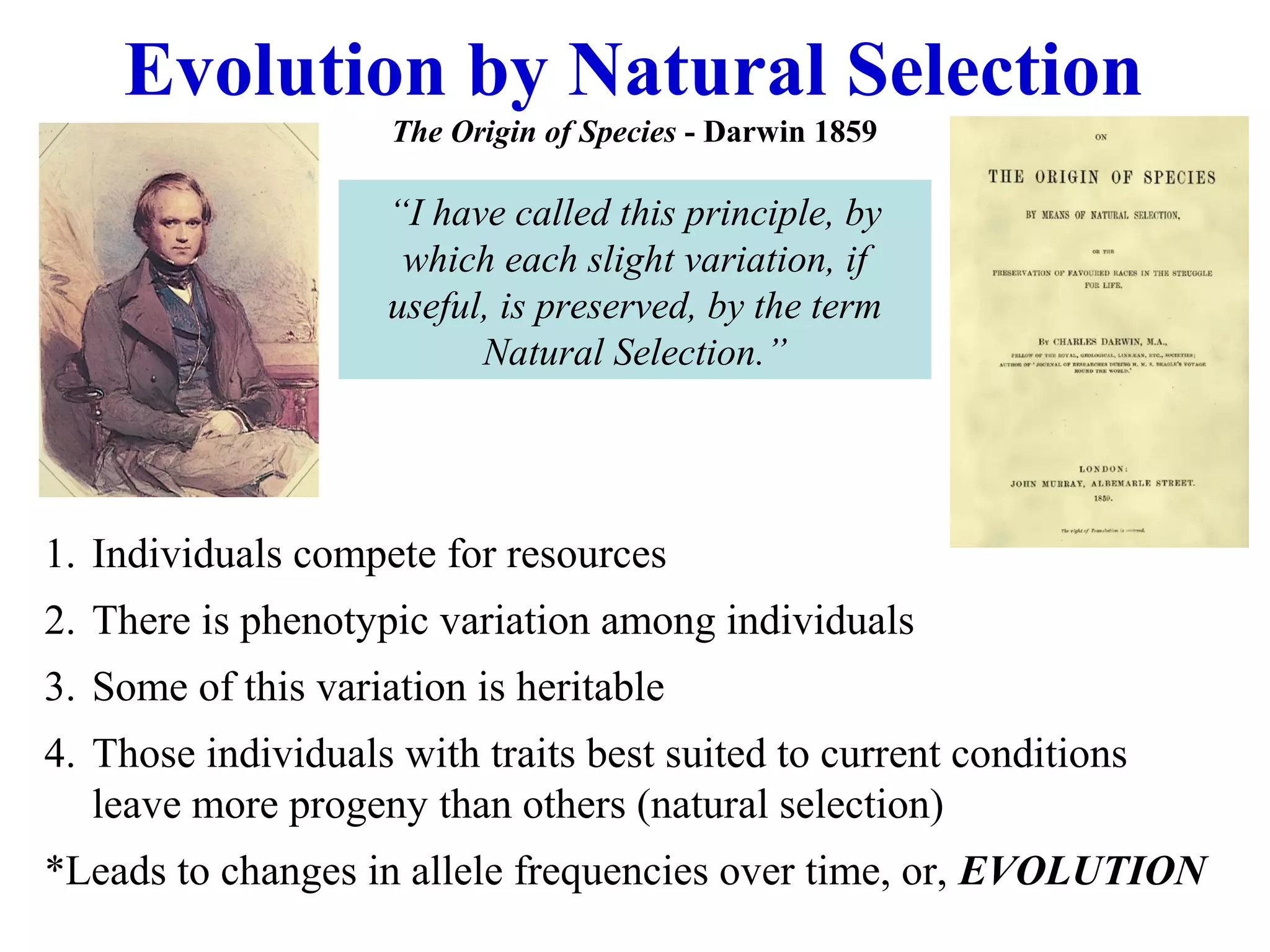 Mechanisms of evolution-I | PPT