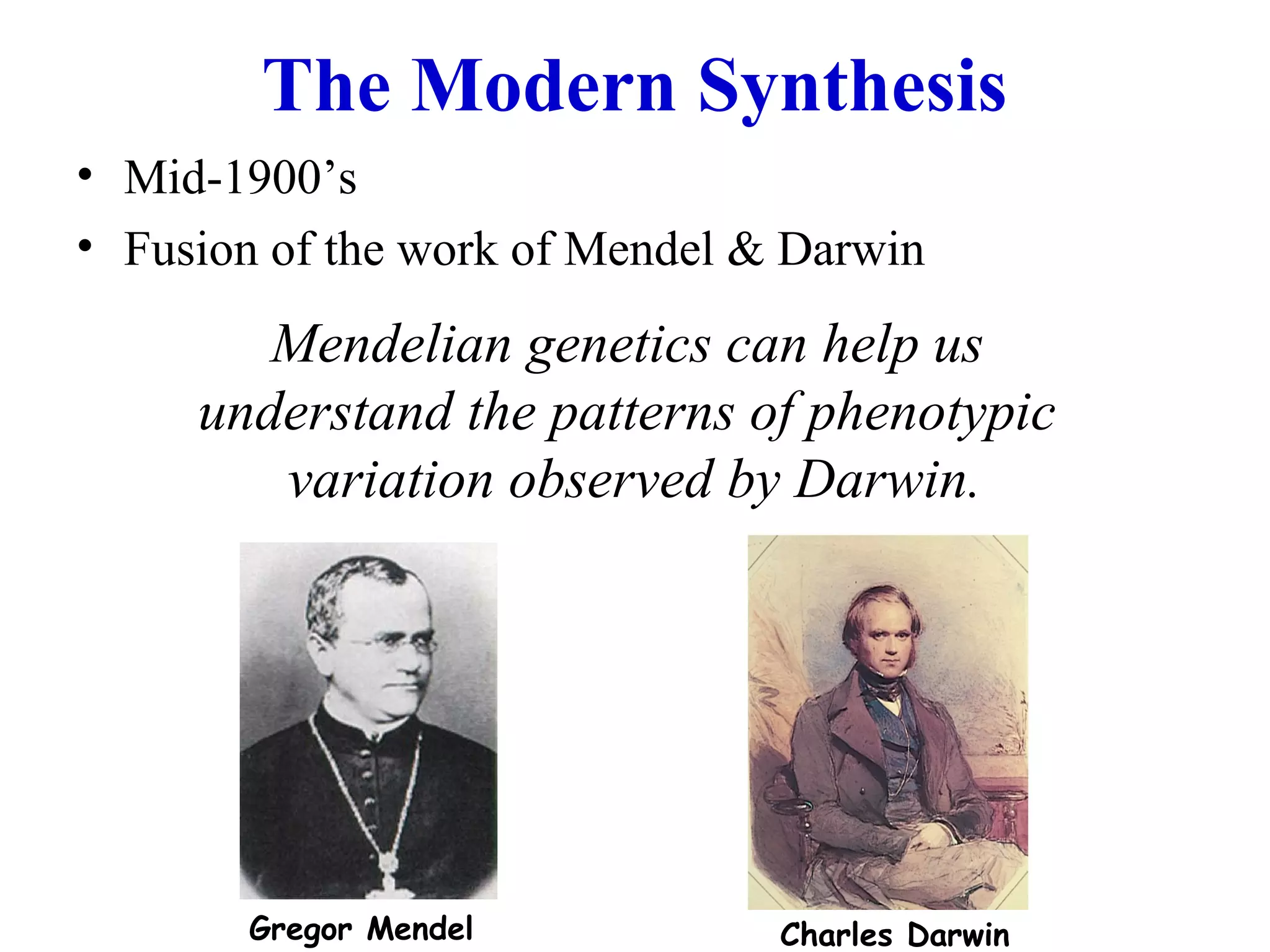 Mechanisms of evolution-I | PPT