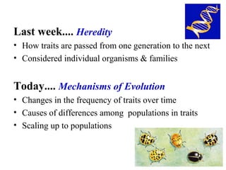 Mechanisms of evolution-I | PPT