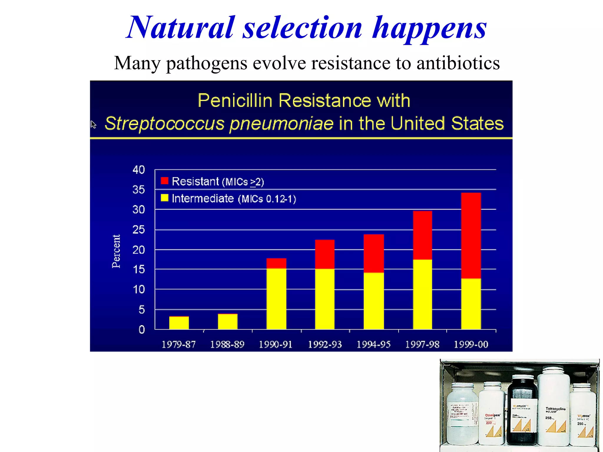 Mechanisms of evolution-II | PPT