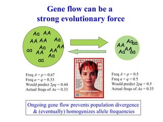 Mechanisms of evolution-II | PPT