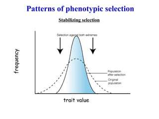 Mechanisms of evolution-II | PPT