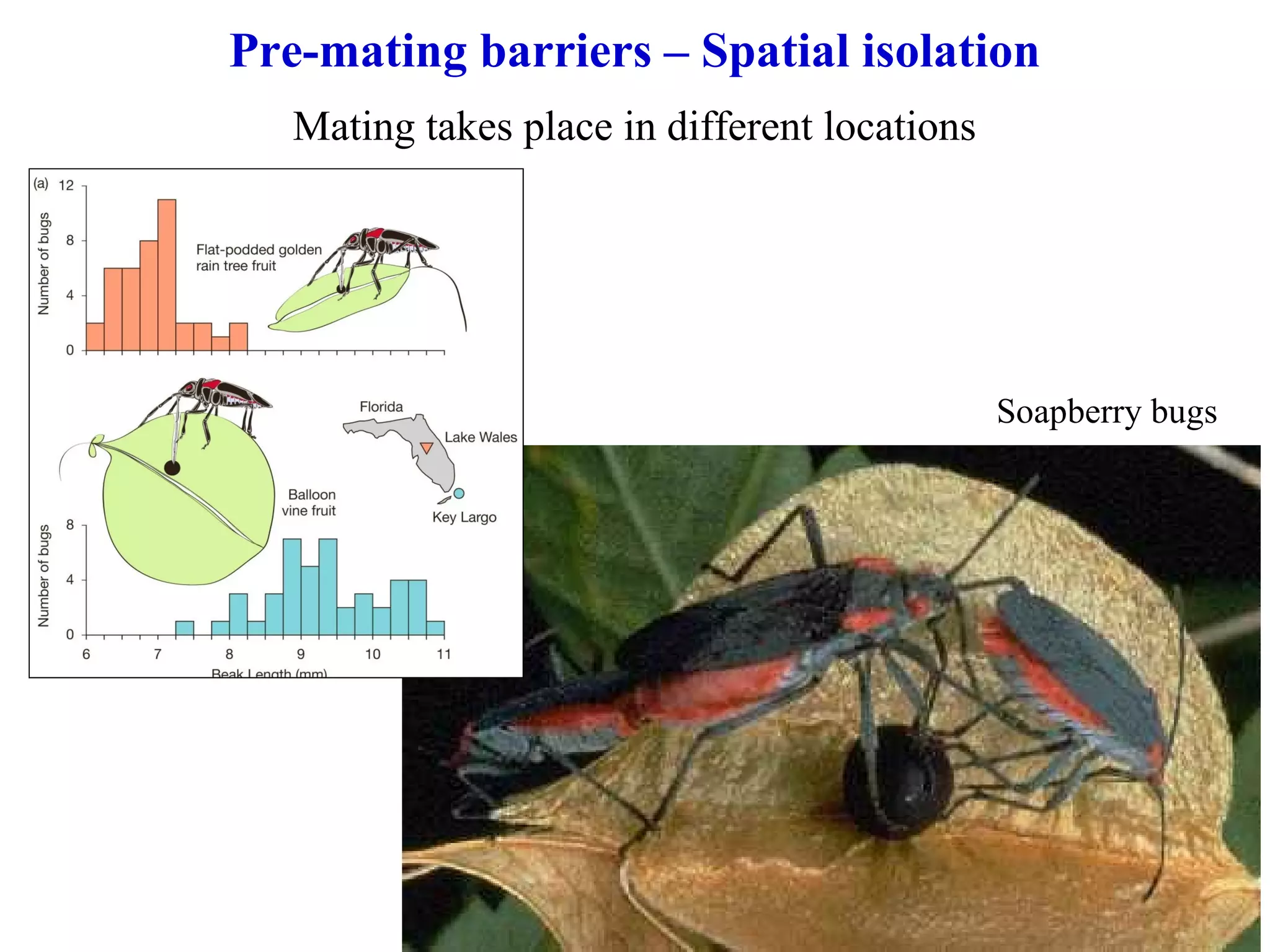 Species and speciation | PPT