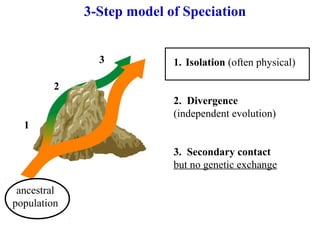 Species and speciation | PPT