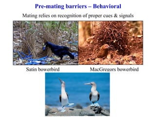 Species and speciation | PPT