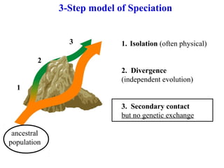 Species and speciation | PPT