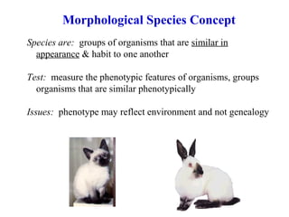Species and speciation | PPT
