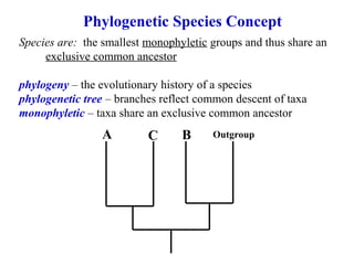 Species and speciation | PPT