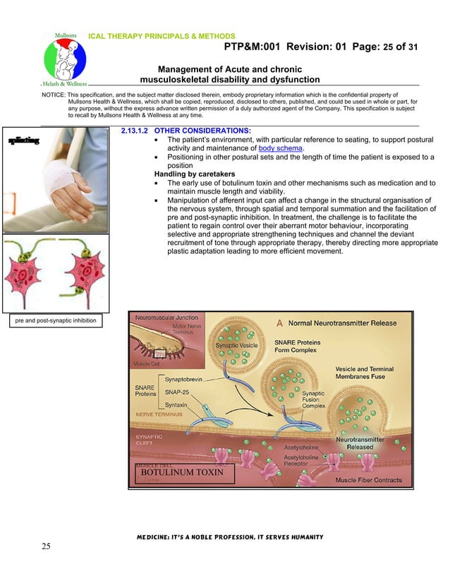 Ptpm001 Ptm Of Common Musculoskeletal Disorders Medical Jou… | PDF