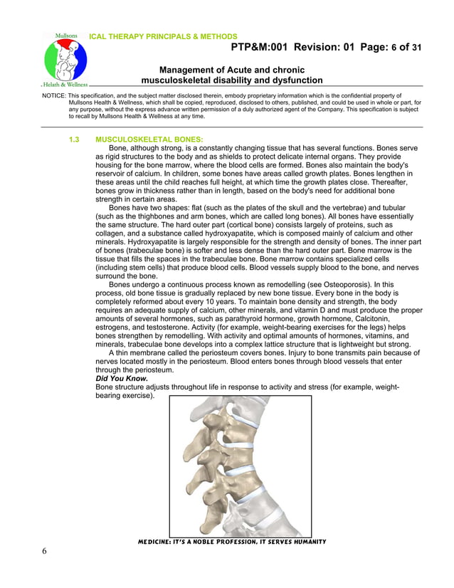 Ptpm001 Ptm Of Common Musculoskeletal Disorders Medical Jou… | PDF