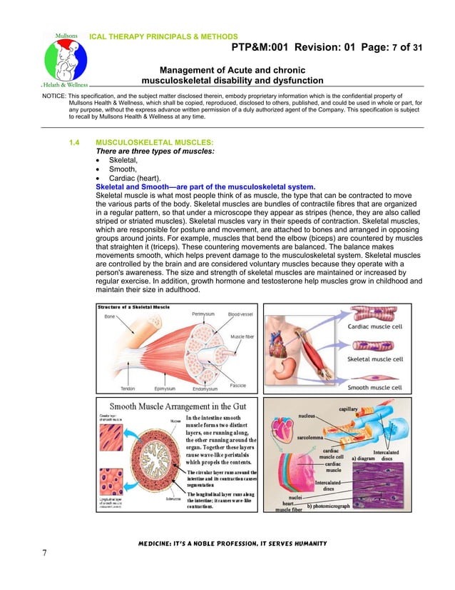 Ptpm001 Ptm Of Common Musculoskeletal Disorders Medical Jou… | PDF