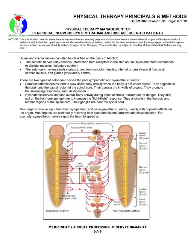 PTP&M009 PTM of Peripheral Nervous System trauma and disea… | PDF ...