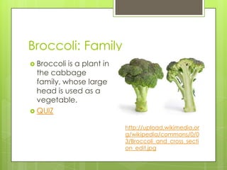 PTP Presentation | PPTX