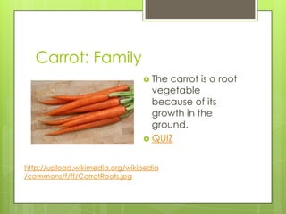 PTP Presentation | PPTX