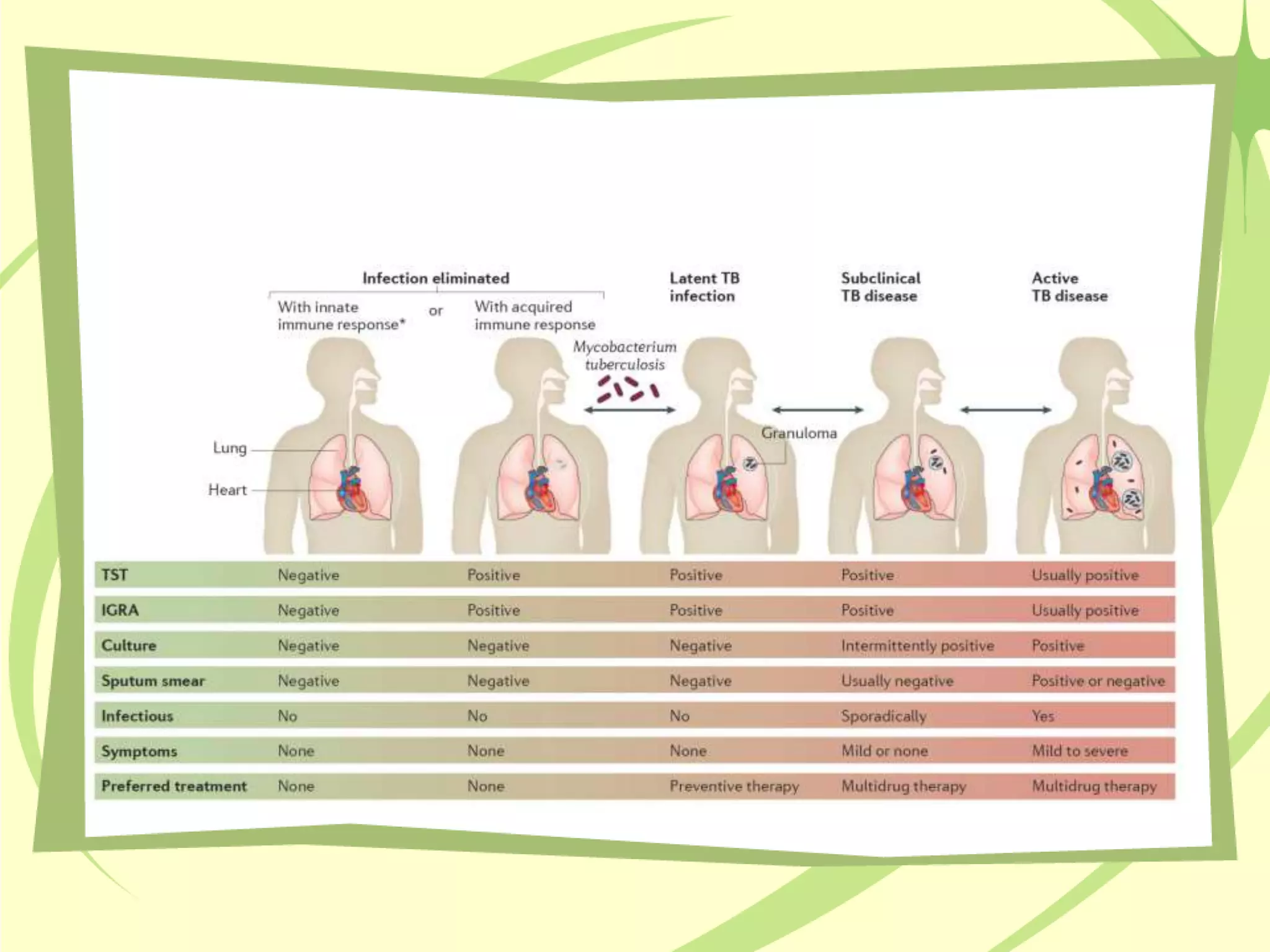 Pulmonary Tuberculosis - Phthisis[1].pptx