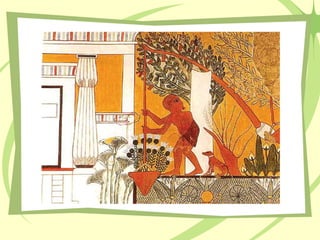 Pulmonary Tuberculosis - Phthisis[1].pptx