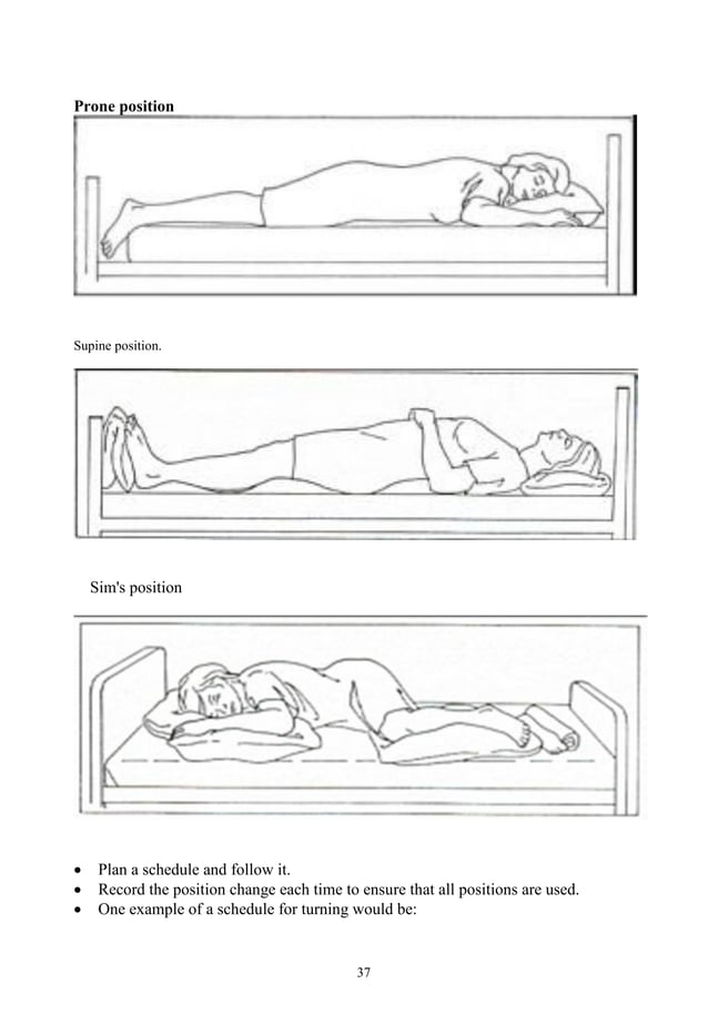 PTS BOOK final 2019.pdf