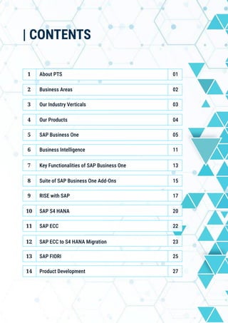 PTS Company Brochure 2025 SAP Business.. | PDF