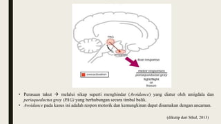 Ptsd.pptx ptsd | PPTX
