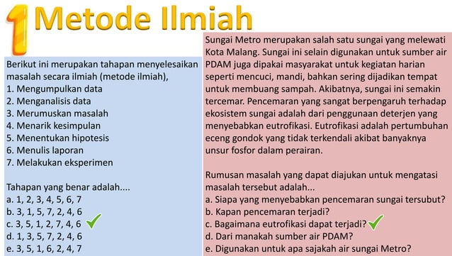 ptskelasx-21091503024RB THFB RTGJV HRYRGF | PPT