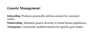 Maintenance and Breeding of Laboratory Animals | PPTX