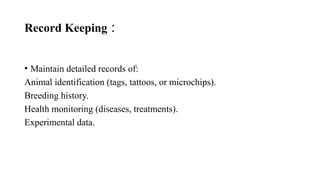 Maintenance and Breeding of Laboratory Animals | PPTX