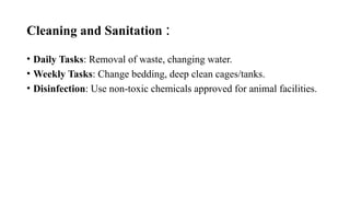 Maintenance and Breeding of Laboratory Animals | PPTX