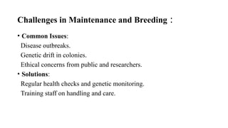 Maintenance and Breeding of Laboratory Animals | PPTX