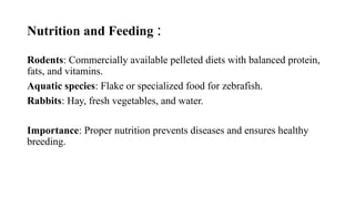 Maintenance and Breeding of Laboratory Animals | PPTX