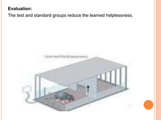 Screening Models of Antidepressants Drugs | PPTX