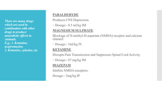 ABDUL MANNAN PTSM PPT.pptx