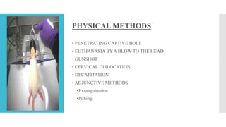 ABDUL MANNAN PTSM PPT.pptx