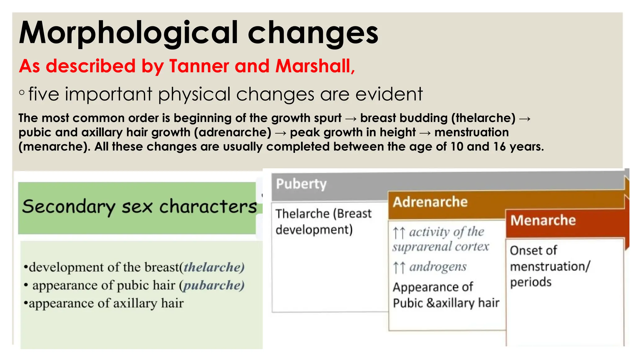 PTSR ppt [7-9] edited.pptxhfjdjdjdhfhfhdhdh | PPTX