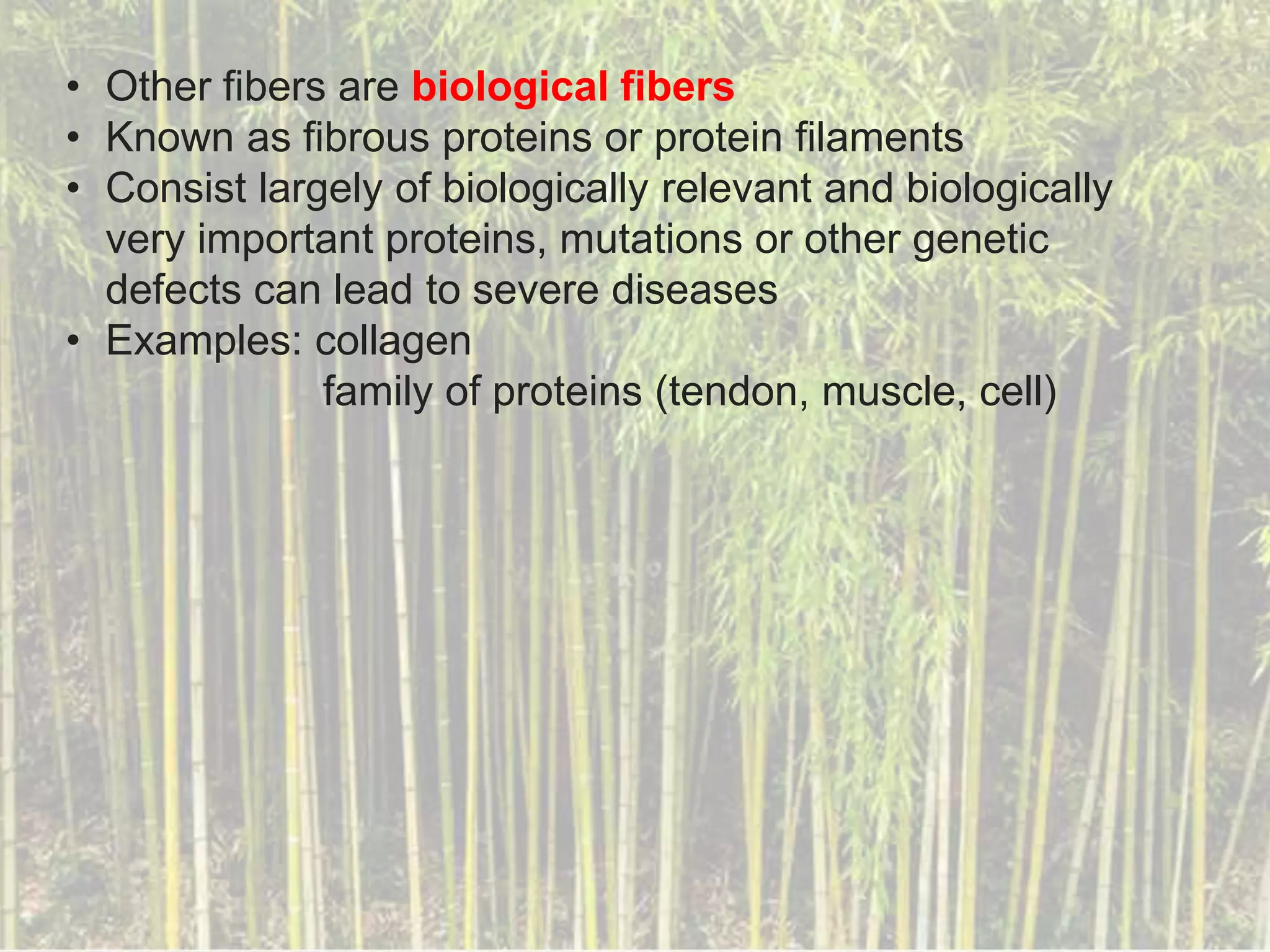 Fiber and Lignocellulosic | PPTX