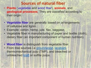 Fiber and Lignocellulosic | PPTX