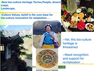 Biocultural heritage territories and the in situ conservation of plant ...