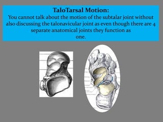 Posterior Tibial Tendon Dysfunction | PDF