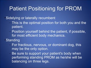 Pt tech protocol prom | PPT