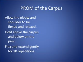 Pt tech protocol prom | PPT