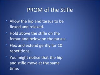 Pt tech protocol prom | PPT