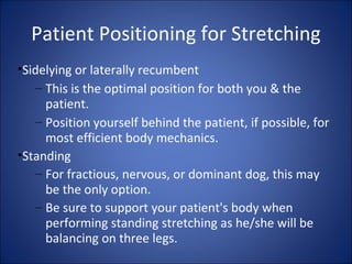 Pt tech protocol stretching | PPT