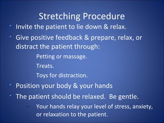 Pt tech protocol stretching | PPT