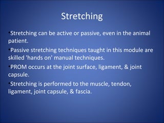 Pt tech protocol stretching | PPT