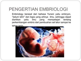 Ptt embriologi | PPTX