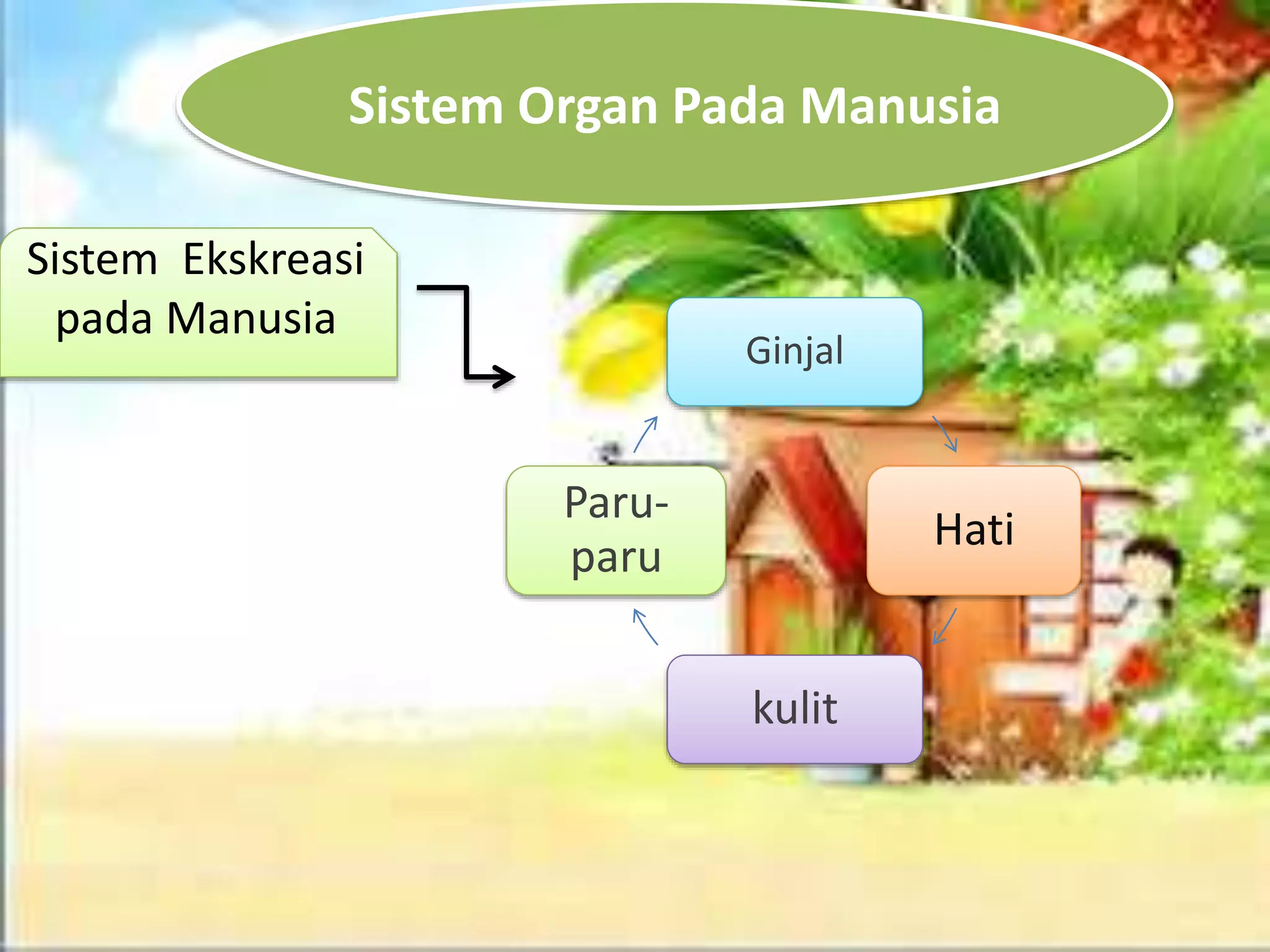 PTT IPA SISTEM ORGAN PADA MANUSIA | PPTX