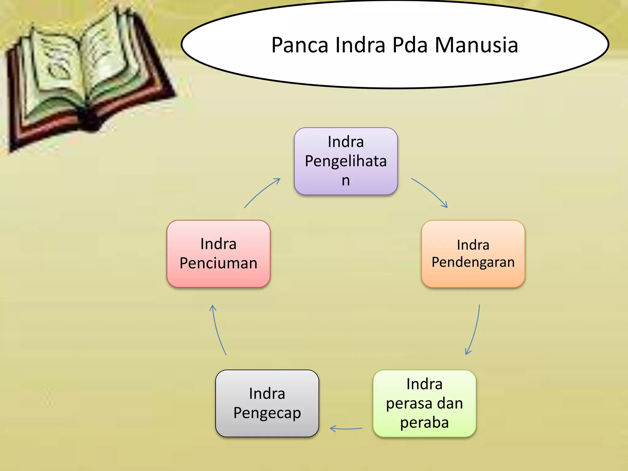PTT IPA SISTEM ORGAN PADA MANUSIA | PPTX