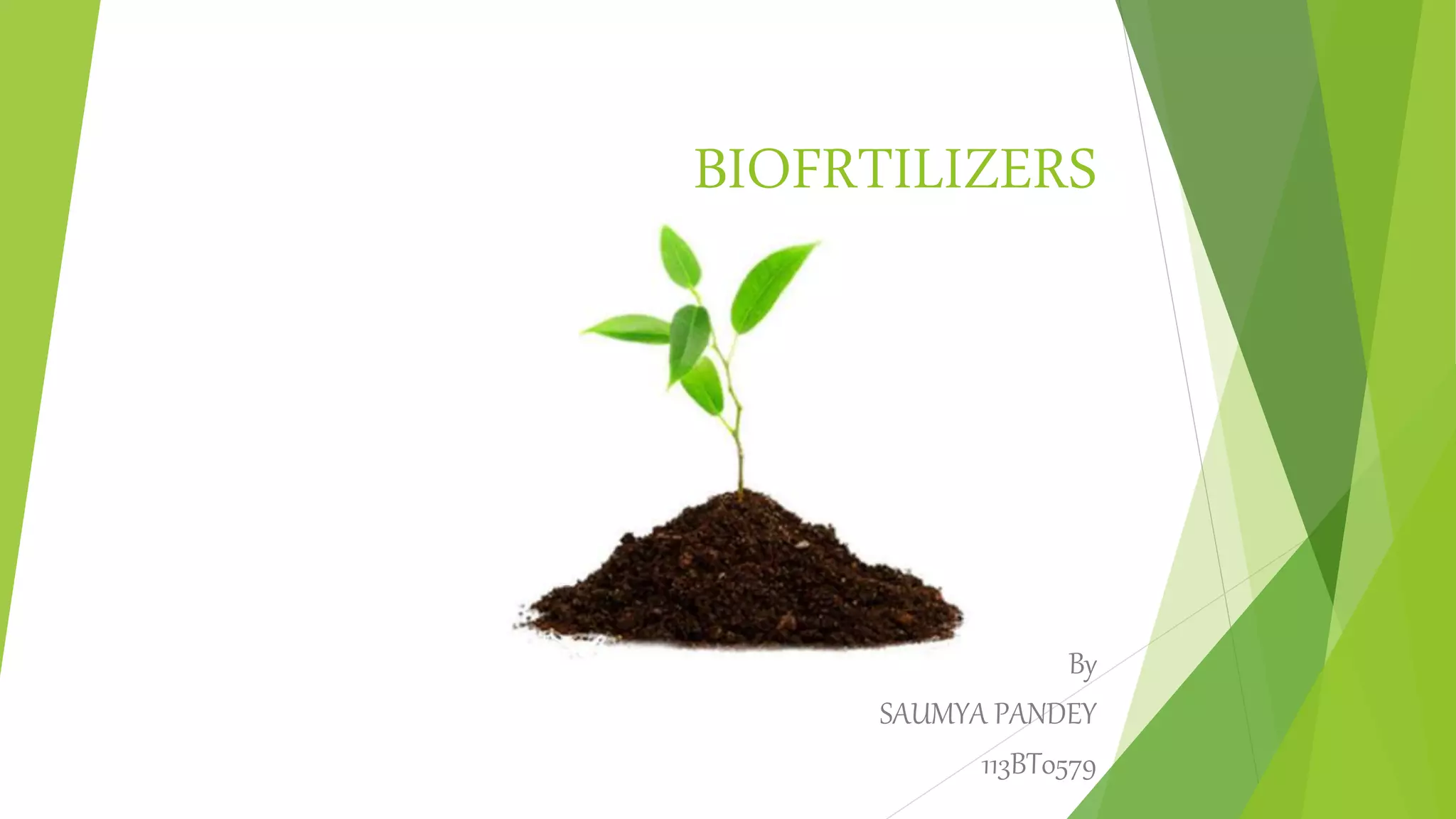 biofertilizers : Good for nature and good for you | PPTX