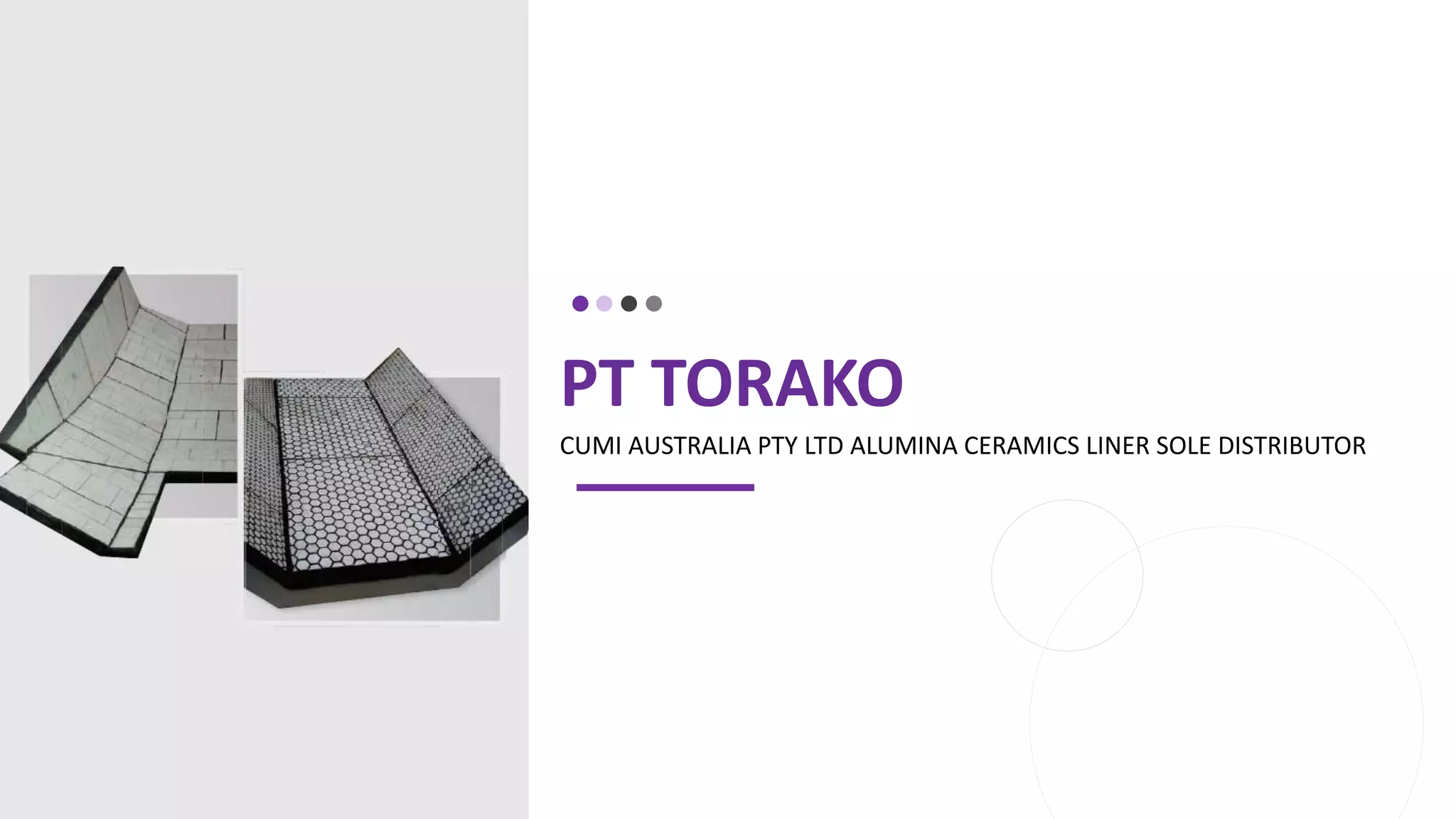 PT Torako Company Profile 2023 for CUMI.pptx
