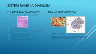 PTT SISTEM GERAK PADA MAKHLUK HIDUP.pptx