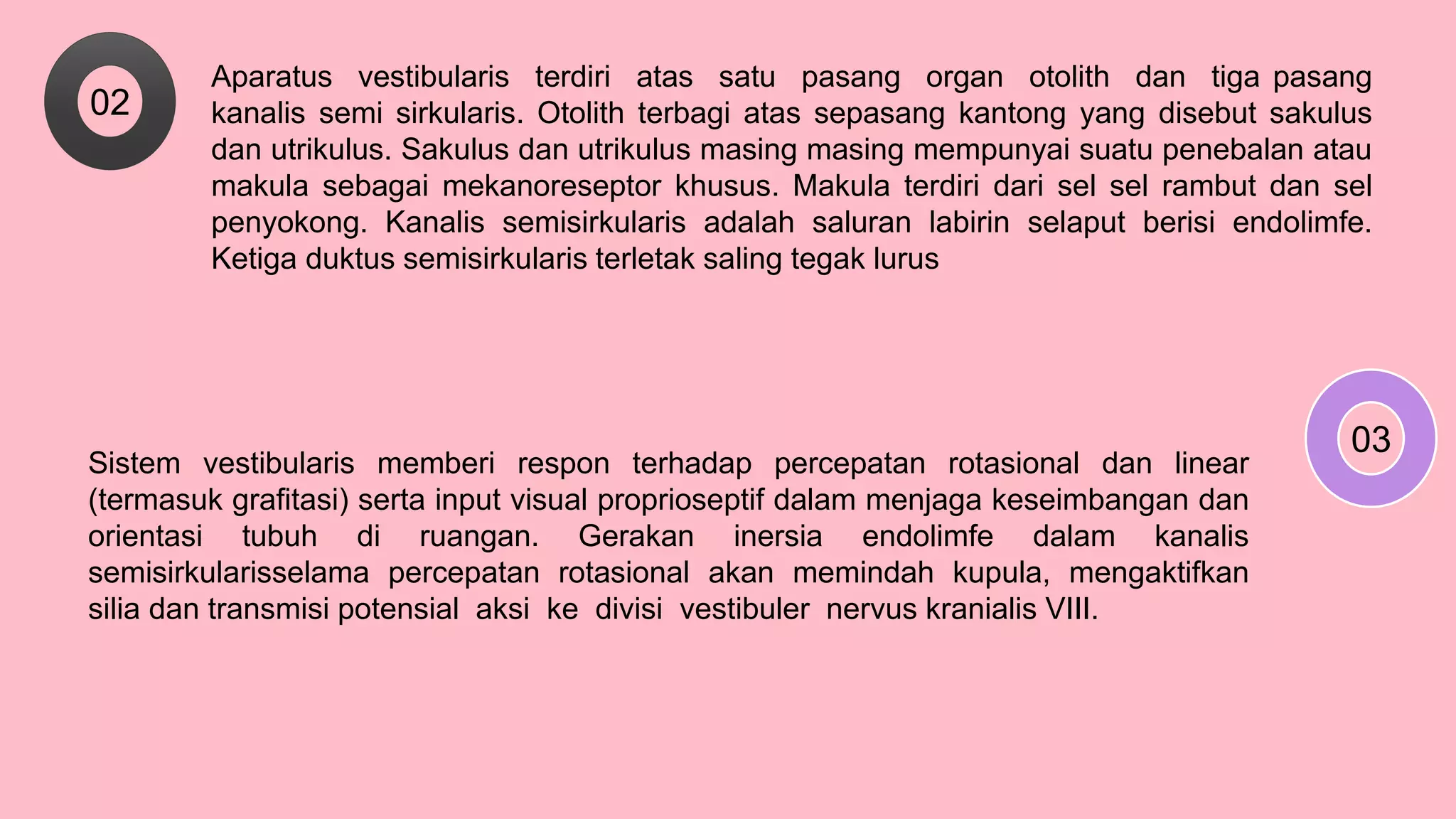 PTT_VERTIGO_PERIFER.pptx